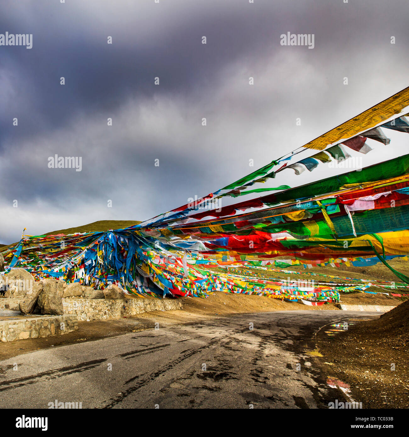 The lulang forest hi-res stock photography and images - Alamy