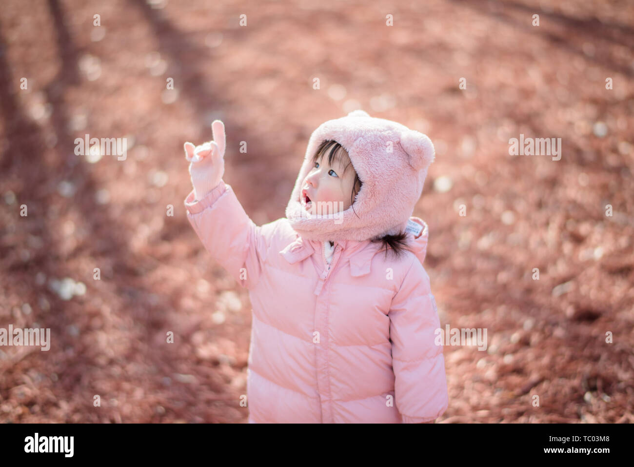 The side of the budding baby under the sunset is affixed to the mother ...