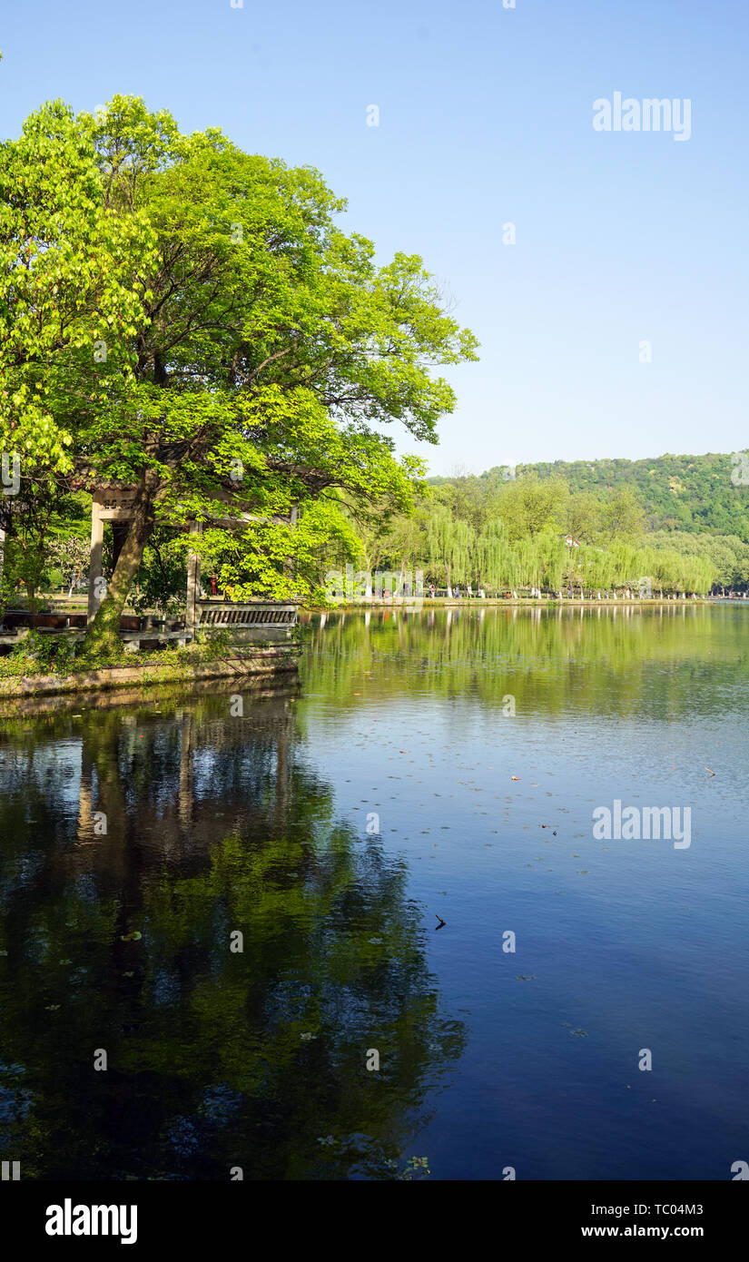 Spring color of West Lake Scenic Area Stock Photo - Alamy