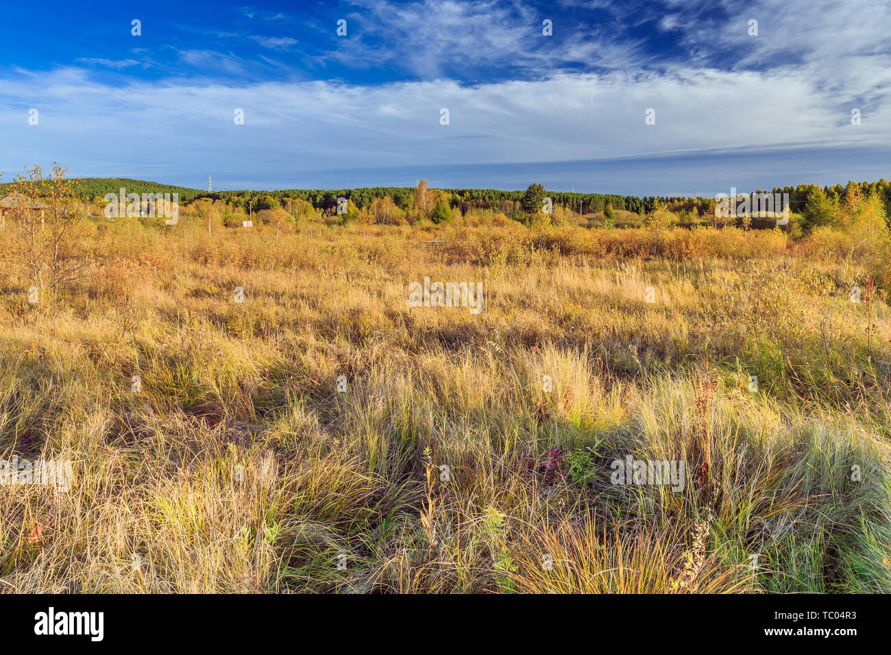 Imperial mouth prairie forest scenic area hi-res stock photography and ...