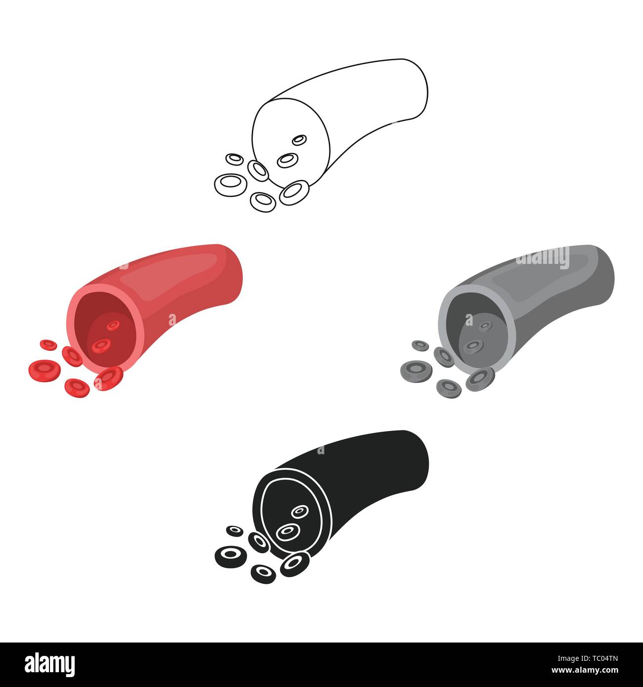 Blood Vessels Cartoon