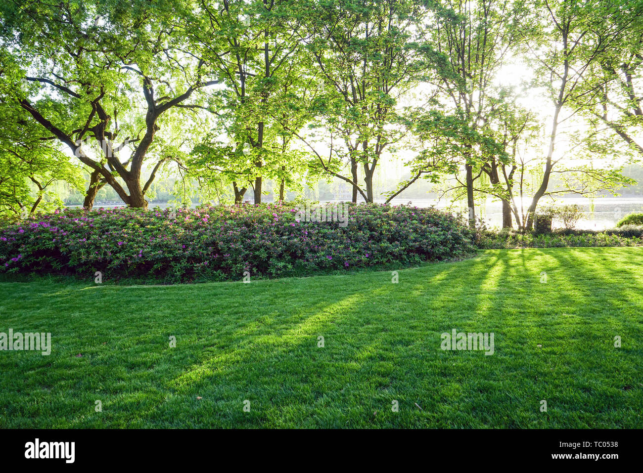 Spring color of West Lake Scenic Area Stock Photo - Alamy