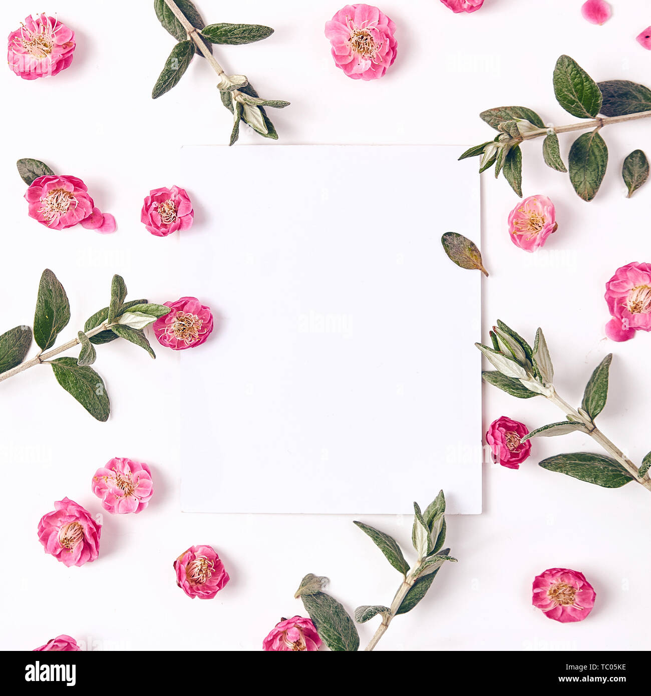 Creative flowers background Stock Photo - Alamy