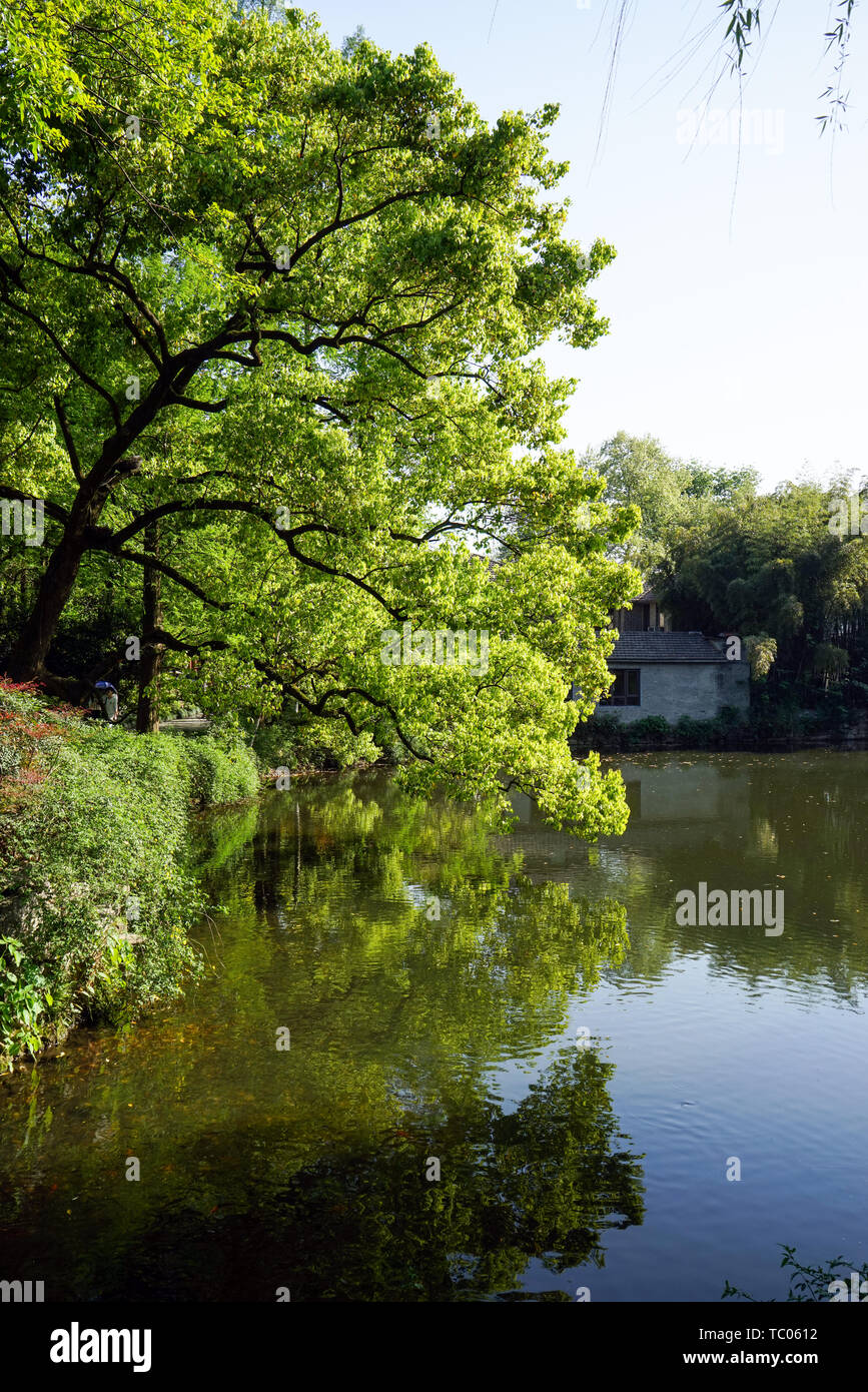 Spring color of West Lake Scenic Area Stock Photo - Alamy