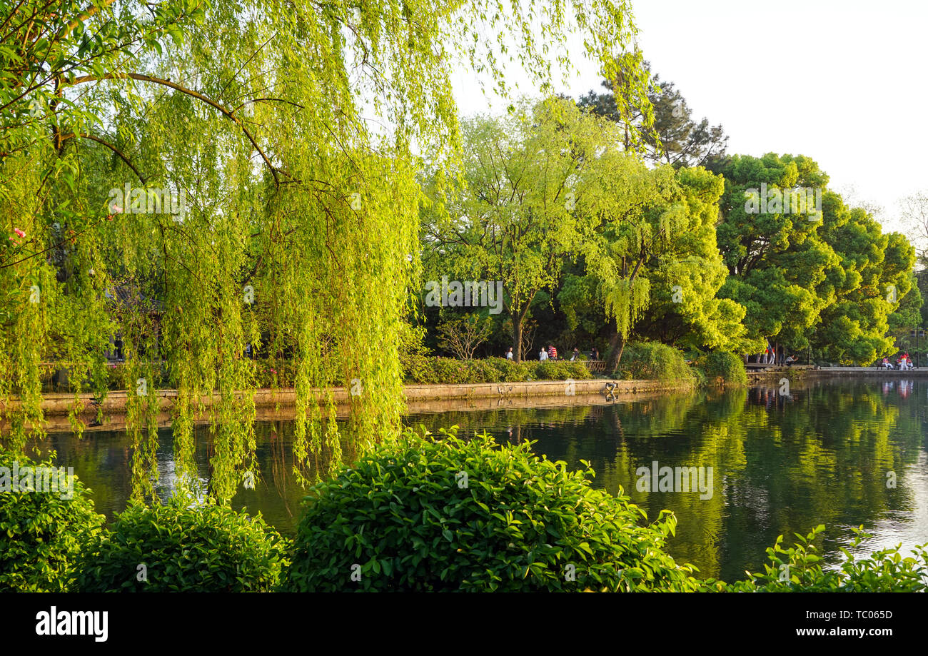 Spring color of West Lake Scenic Area Stock Photo - Alamy