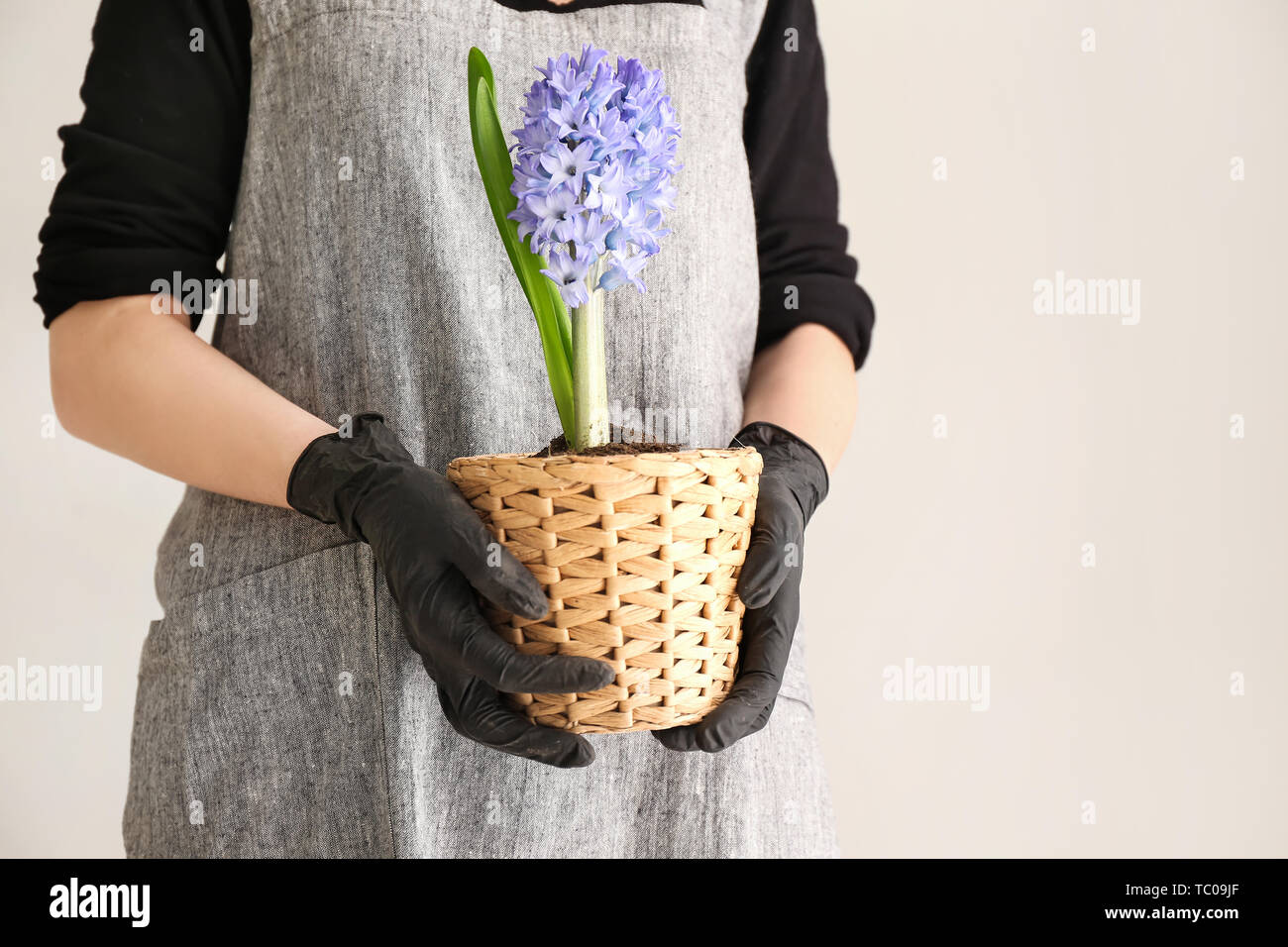 Female gardener holding pot hi-res stock photography and images - Alamy
