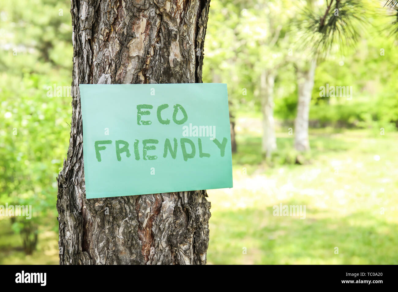 Eco friendly tree renewable resources hi-res stock photography and ...