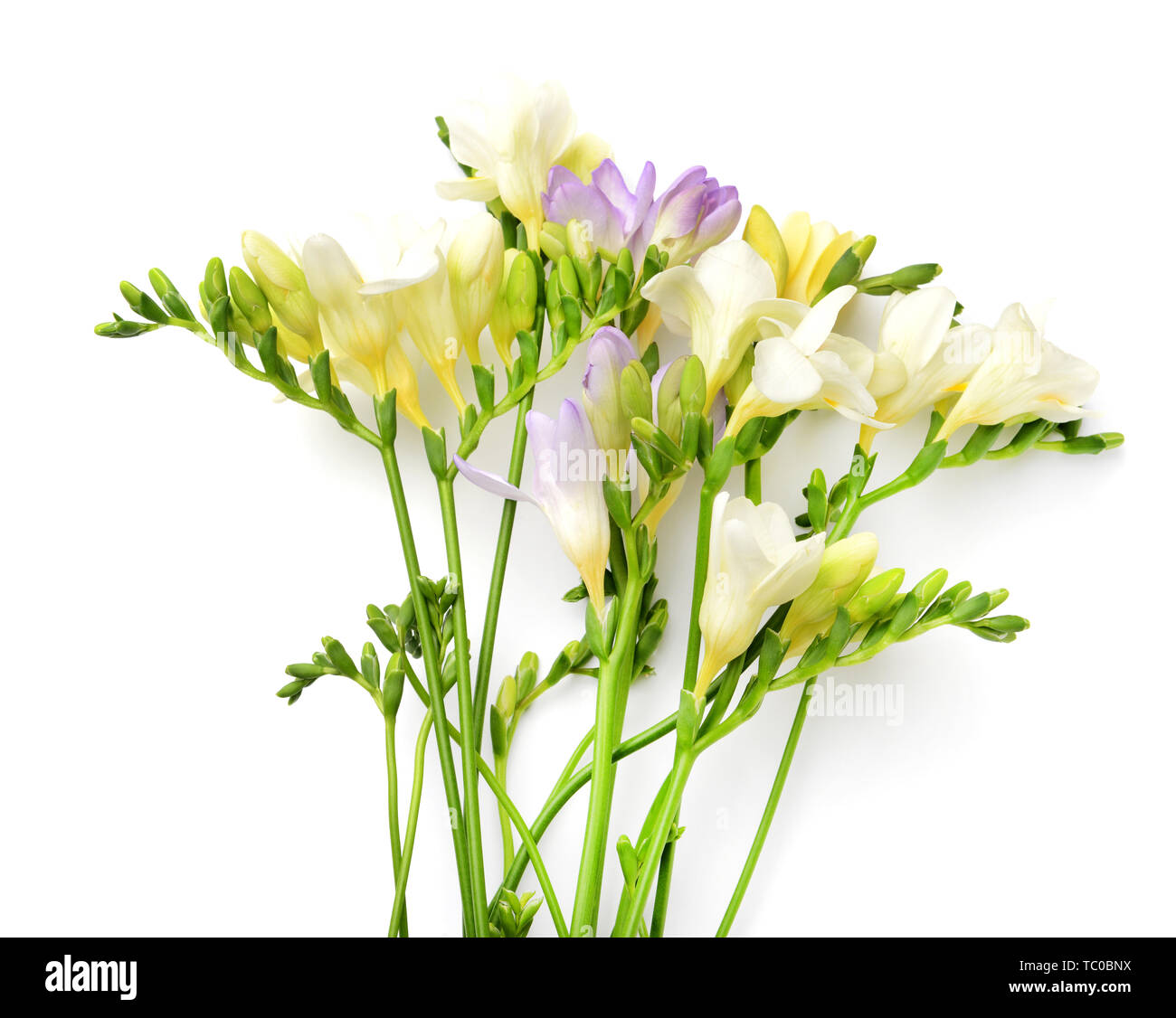 Beautiful freesia flowers on white background Stock Photo - Alamy
