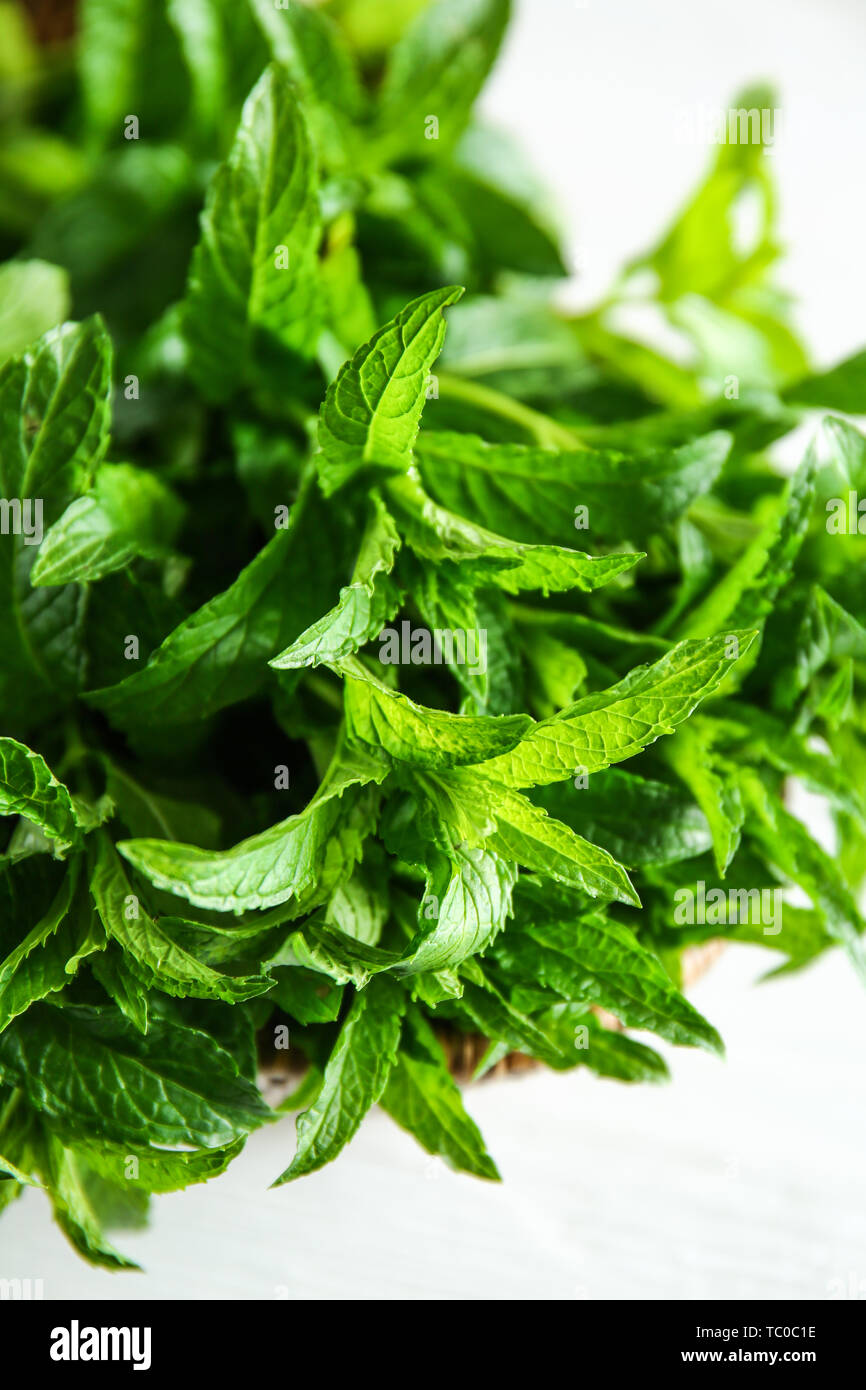 Fresh green mint on white background Stock Photo - Alamy
