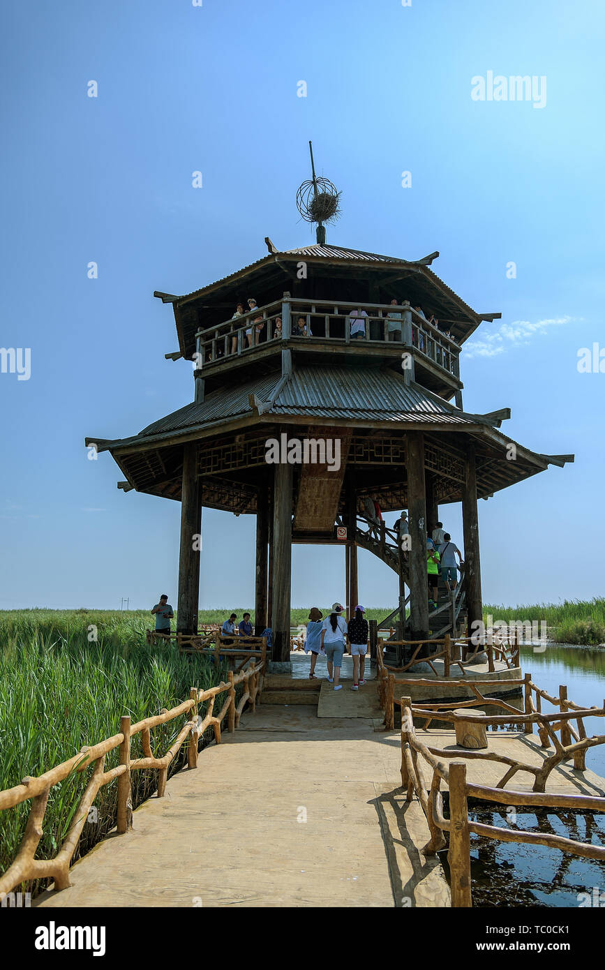 Dongying High Resolution Stock Photography and Images - Alamy