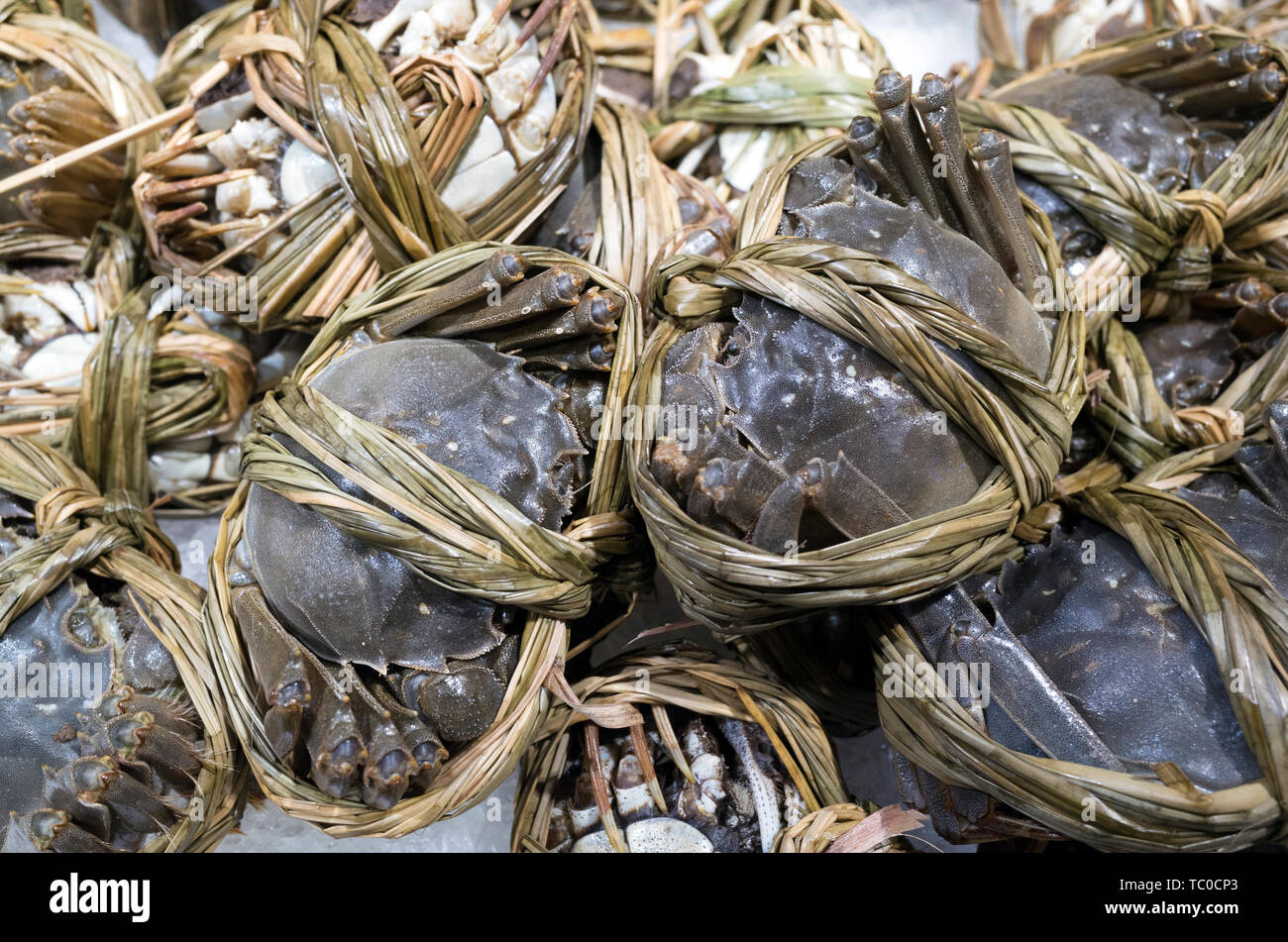 Nutrients river hi-res stock photography and images - Alamy