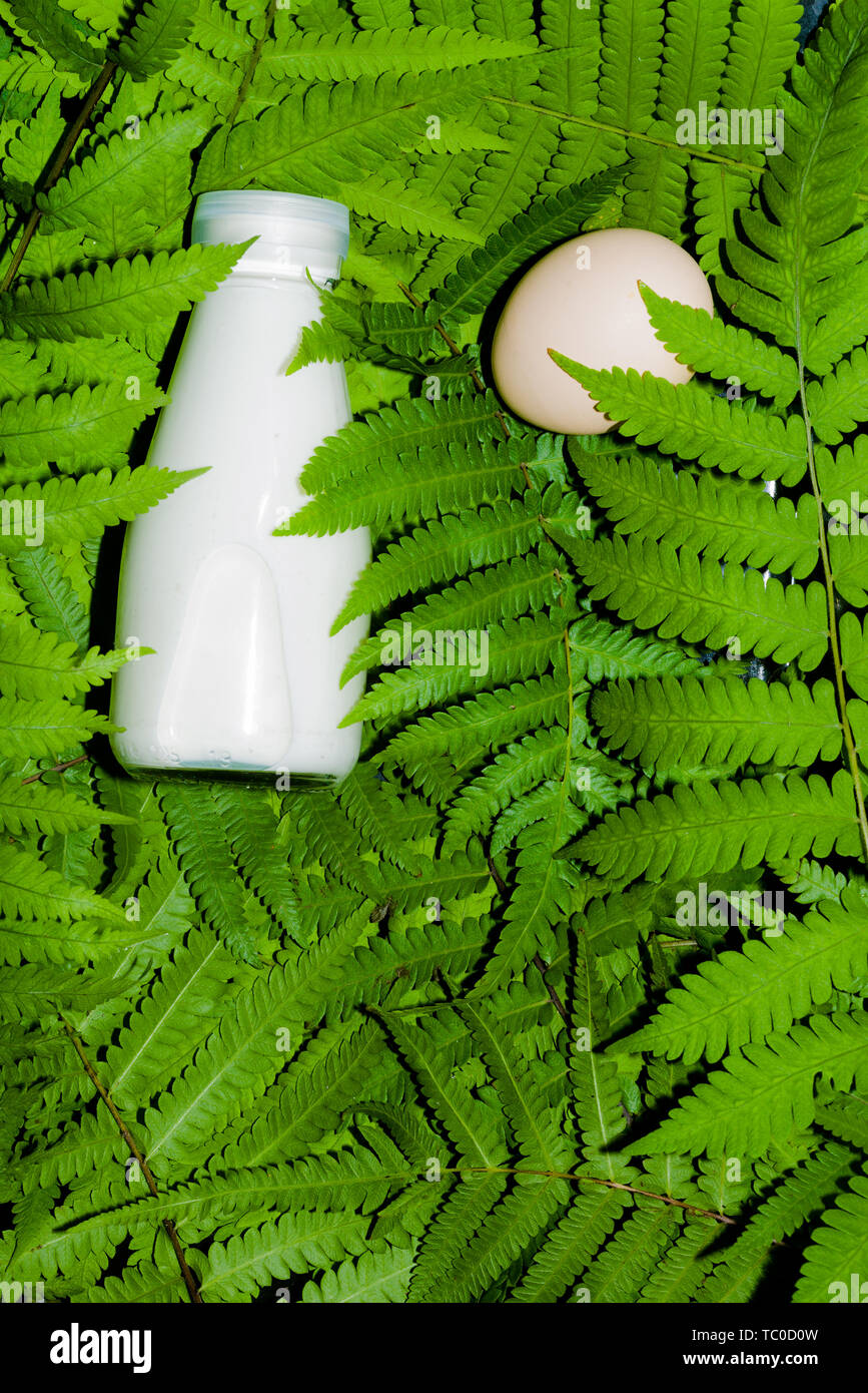 Milk and eggs laid out on beautiful fern leaves Stock Photo - Alamy