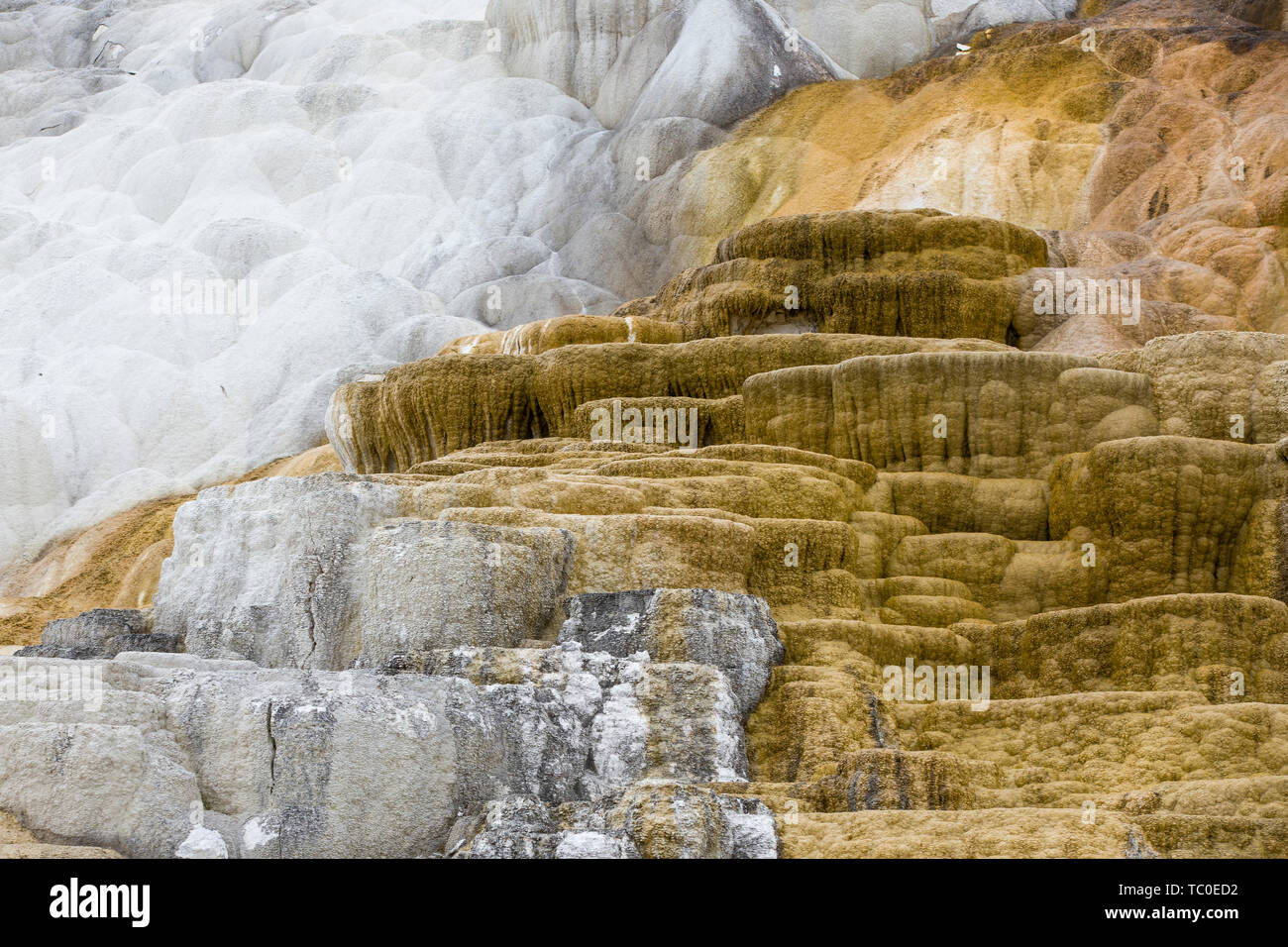 Abstract image of the calcium and mineral deposits at Mammoth ...