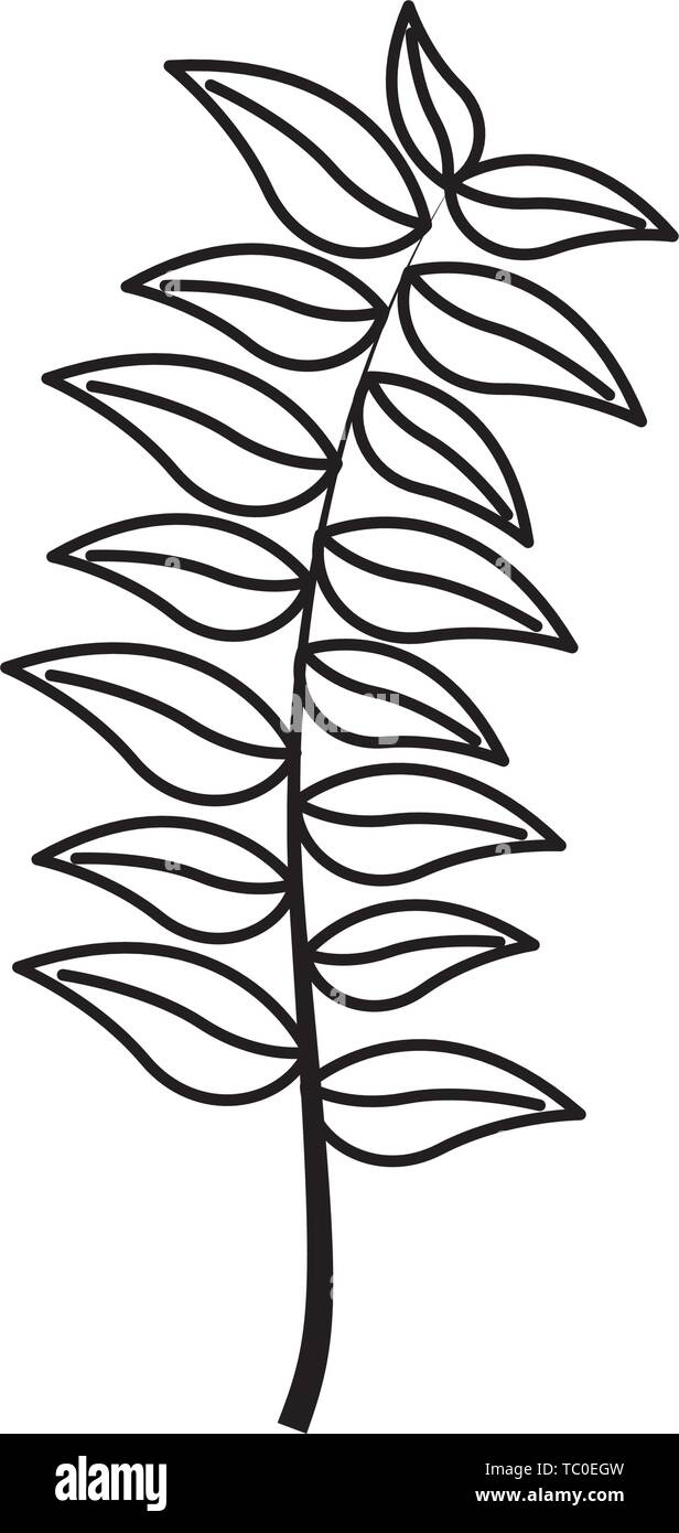 branch leaves foliage outline Stock Vector Image & Art - Alamy
