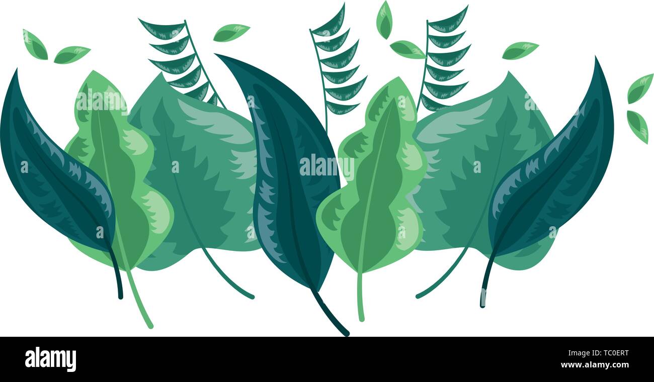 foliage nature border leaves white background Stock Vector Image & Art ...