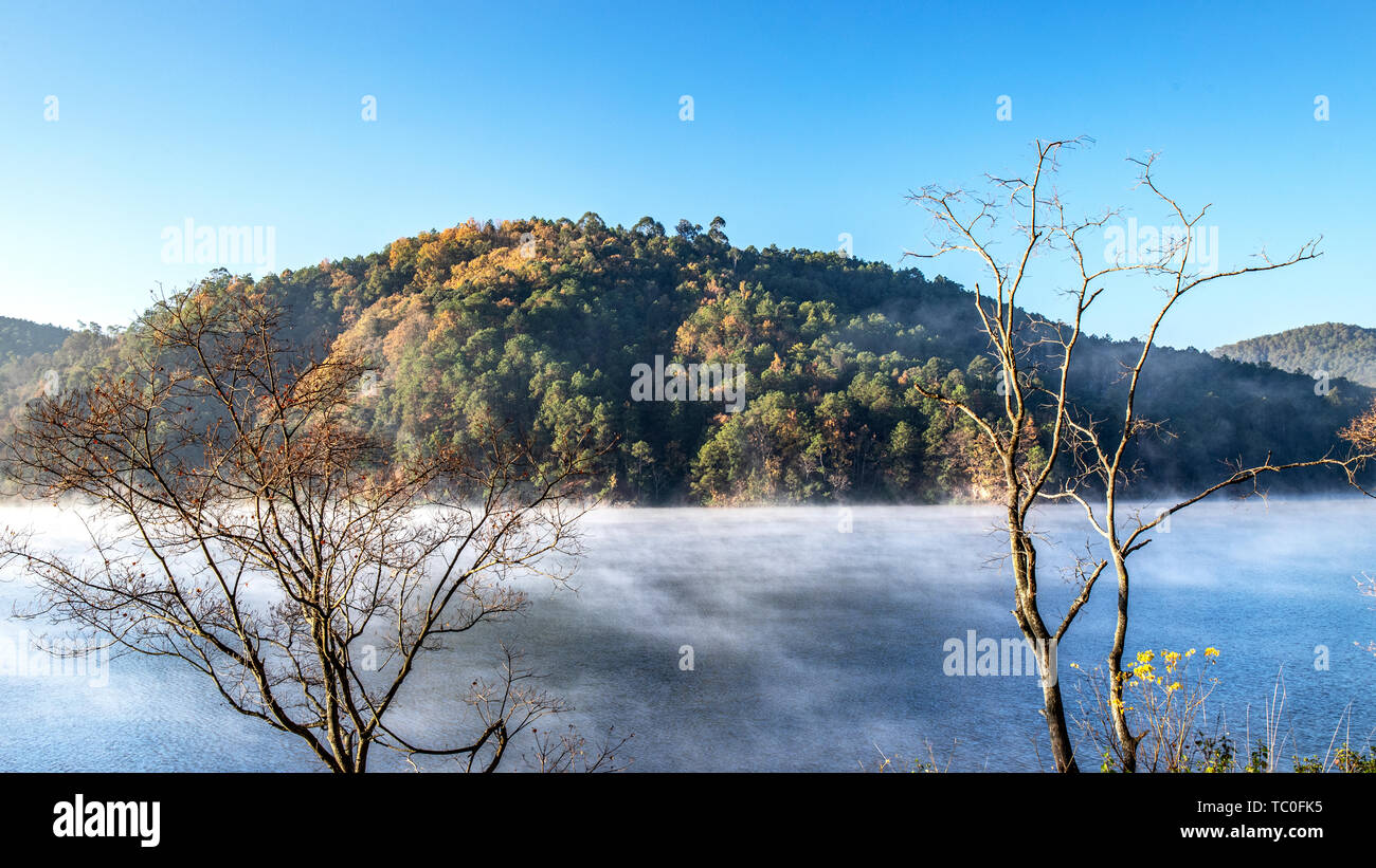 Late winter ink painting Stock Photo - Alamy
