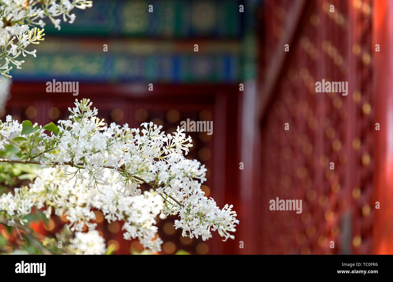 Ancient architecture of Fayuan Temple in Beijing Stock Photo - Alamy