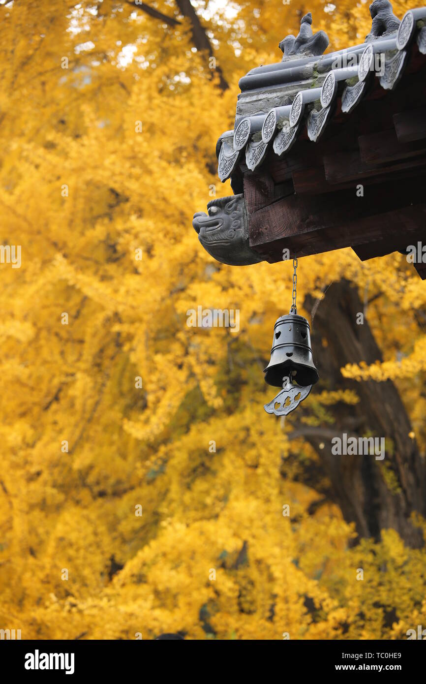 Guanyin temple in xi'an hi-res stock photography and images - Alamy