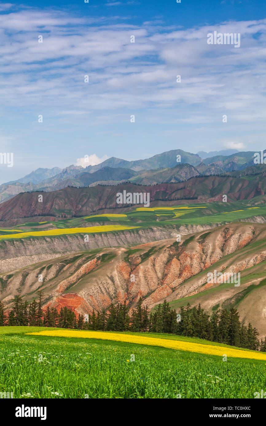 Scenic Scenic Area of Zhuoer Mountain Scenic Area, Qilian County ...