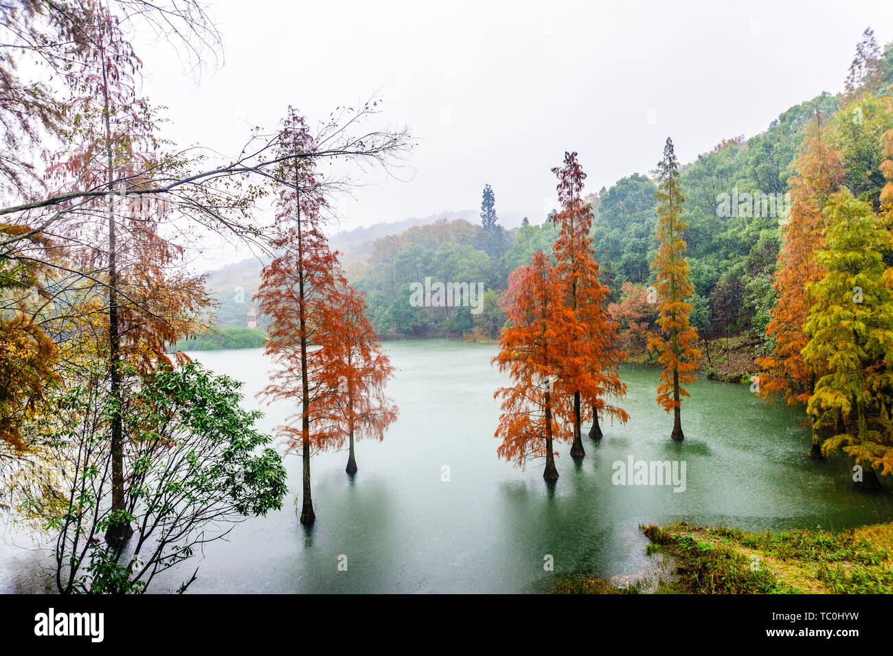 Long xiang hi-res stock photography and images - Alamy