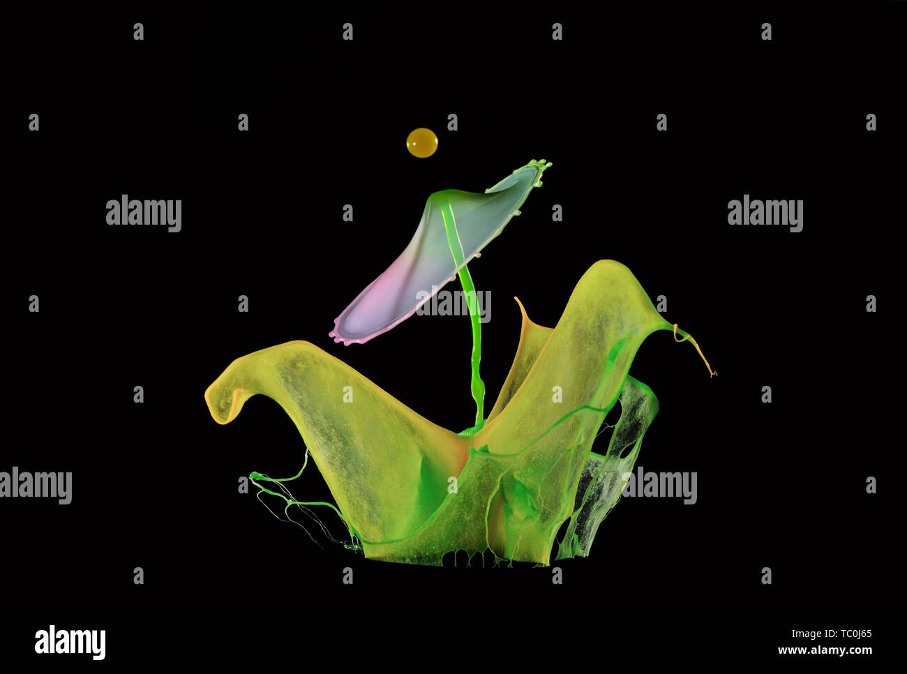 Liquid flower form that occurs after a liquid collision or vibration by ...