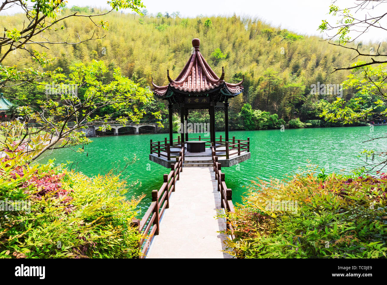 Bamboo and mirror lake and yixing tourism hi-res stock photography and ...