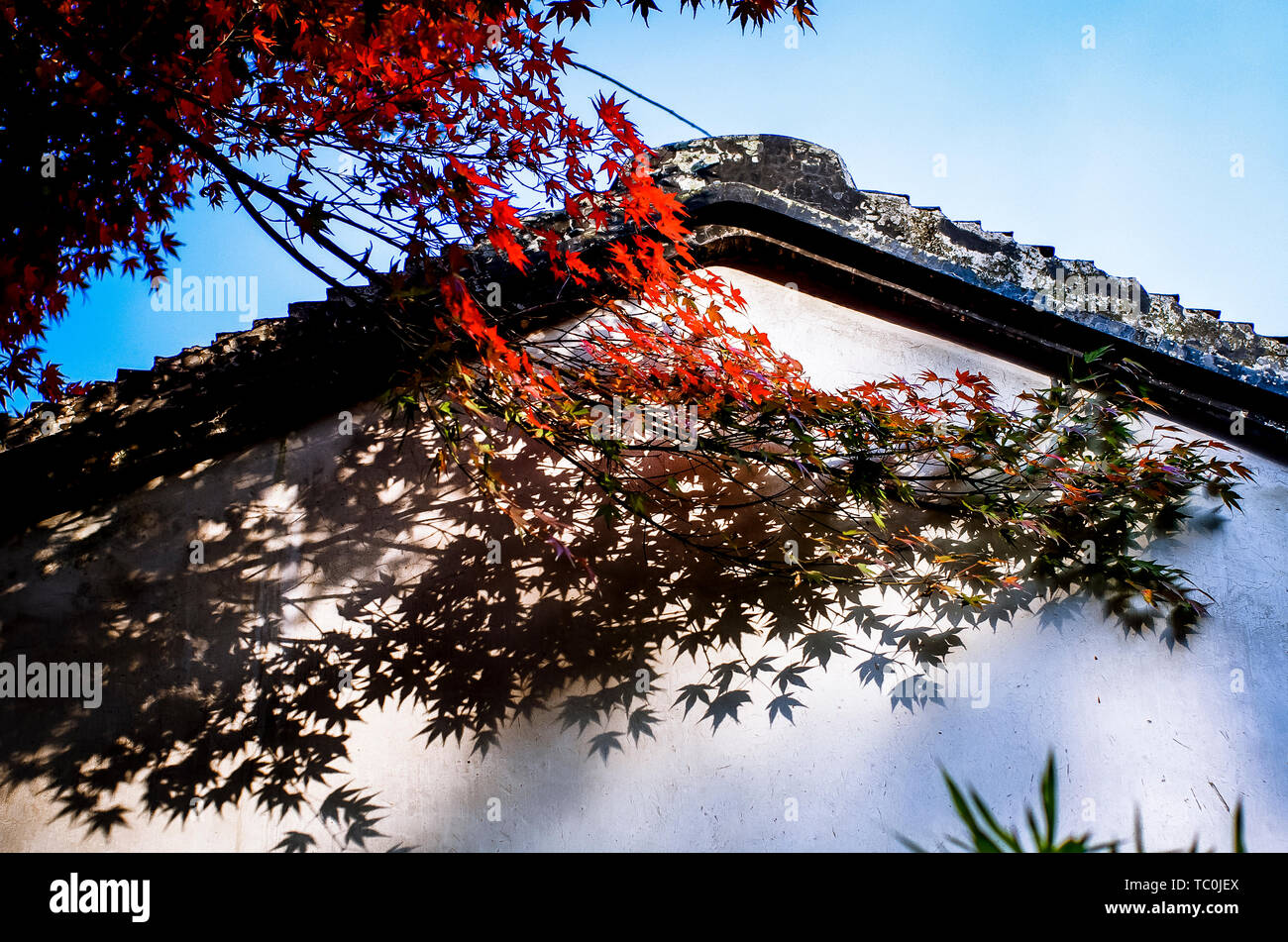 Autumn Color in Suzhou Garden Stock Photo - Alamy