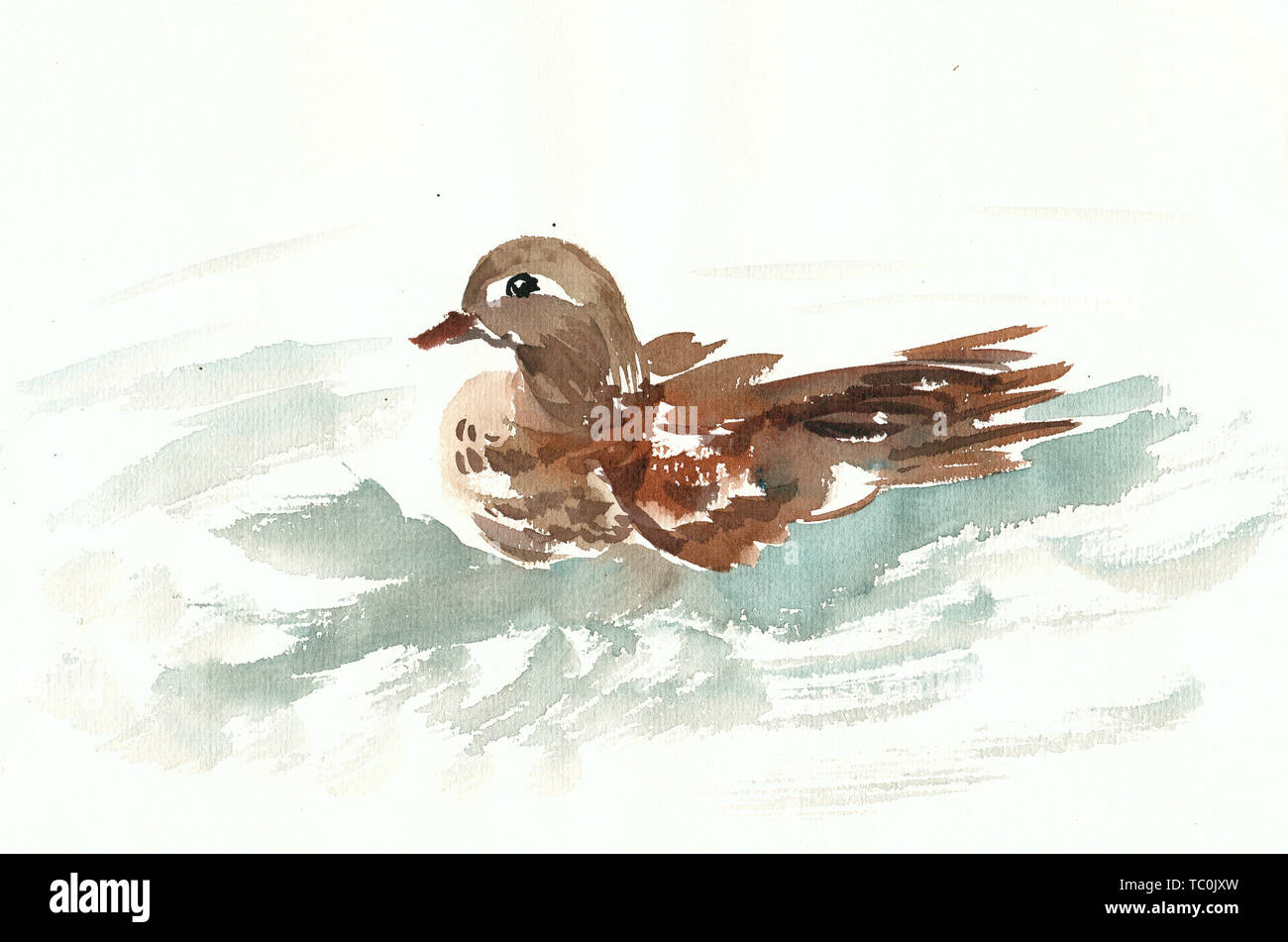 Pure water hand drawn Cut Out Stock Images & Pictures - Alamy