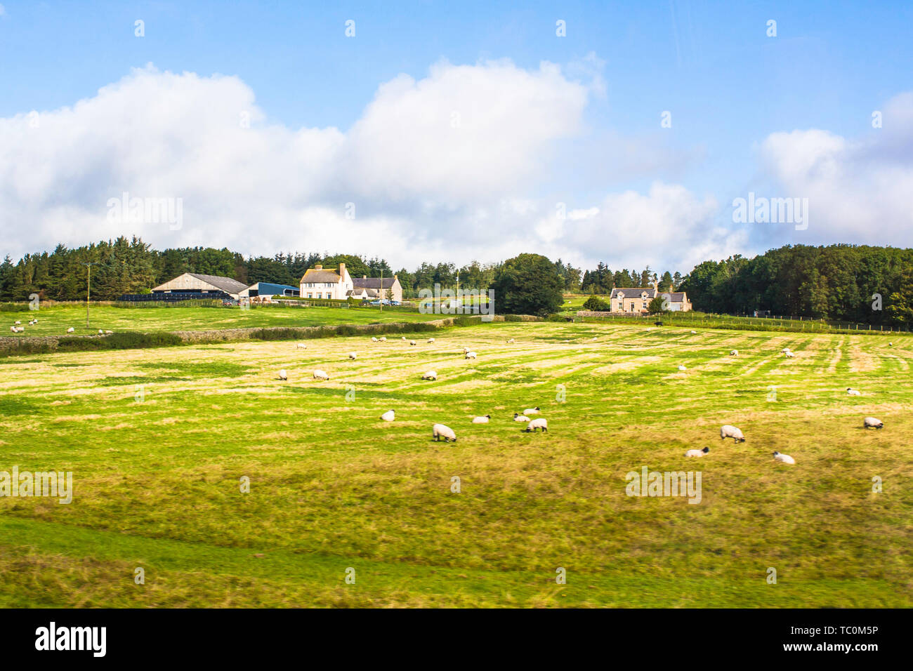 The pastoral scenery of England is like a pastoral song, like an ...