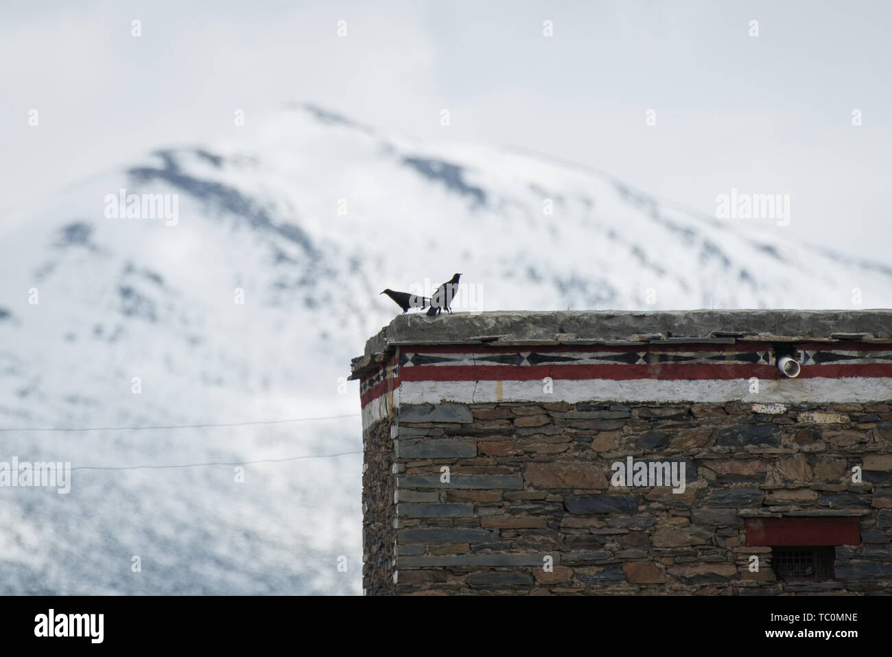 Xindu bridge hi-res stock photography and images - Alamy
