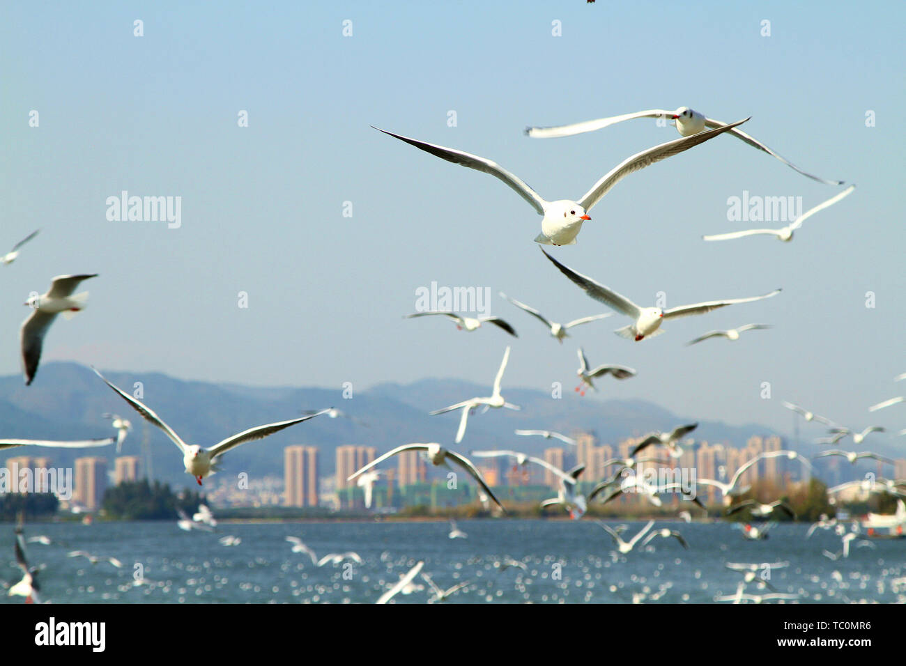 Elf dance hi-res stock photography and images - Alamy