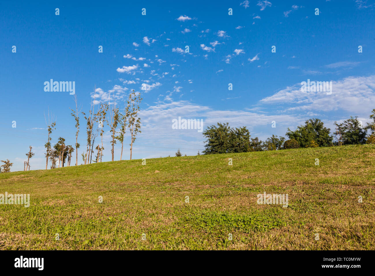 Grassland trees sky natural landscape Stock Photo - Alamy