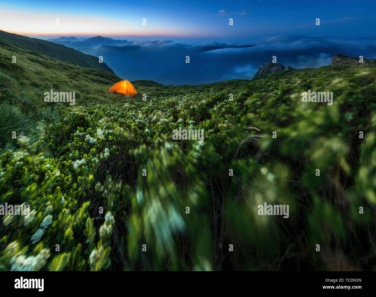 On the top of the hill Stock Photo - Alamy