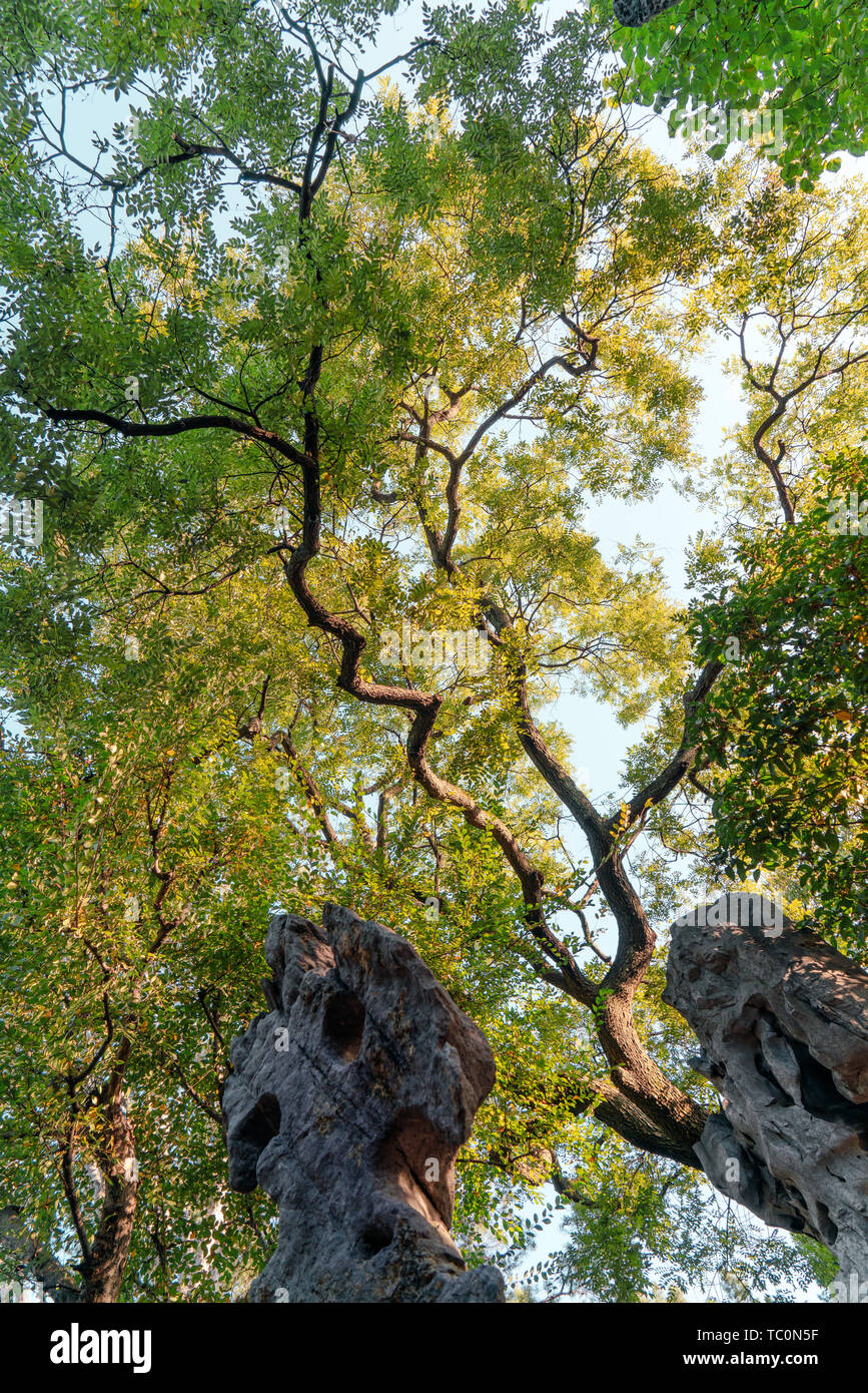 Tranquility tranquility suzhou gardens in gusu suzhou gardens in gusu ...