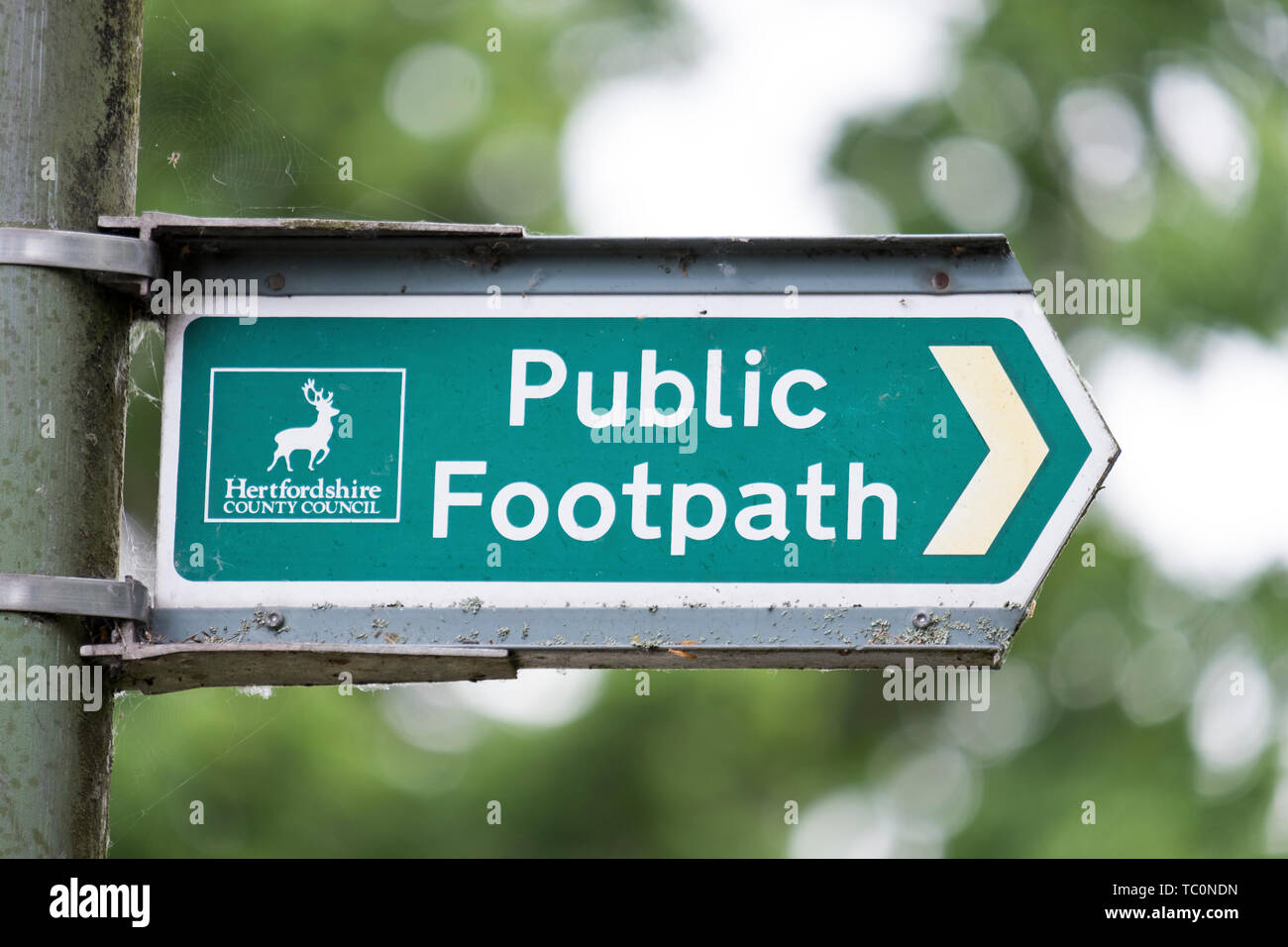 Hertfordshire county council hi-res stock photography and images - Alamy