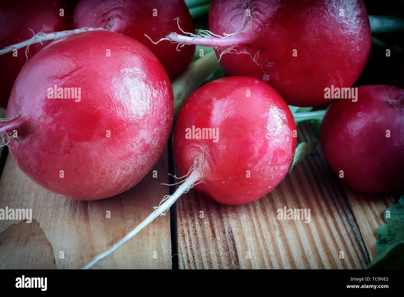 On the surface of the wooden table is a bunch young red radishes ...