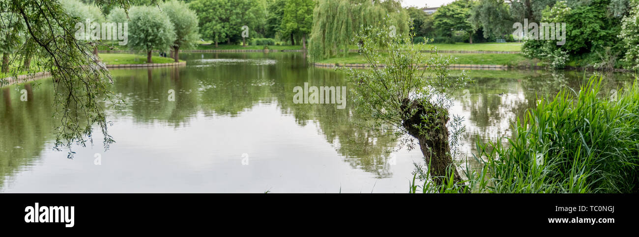 big garden in a park in holland with green trees and small pond Stock ...