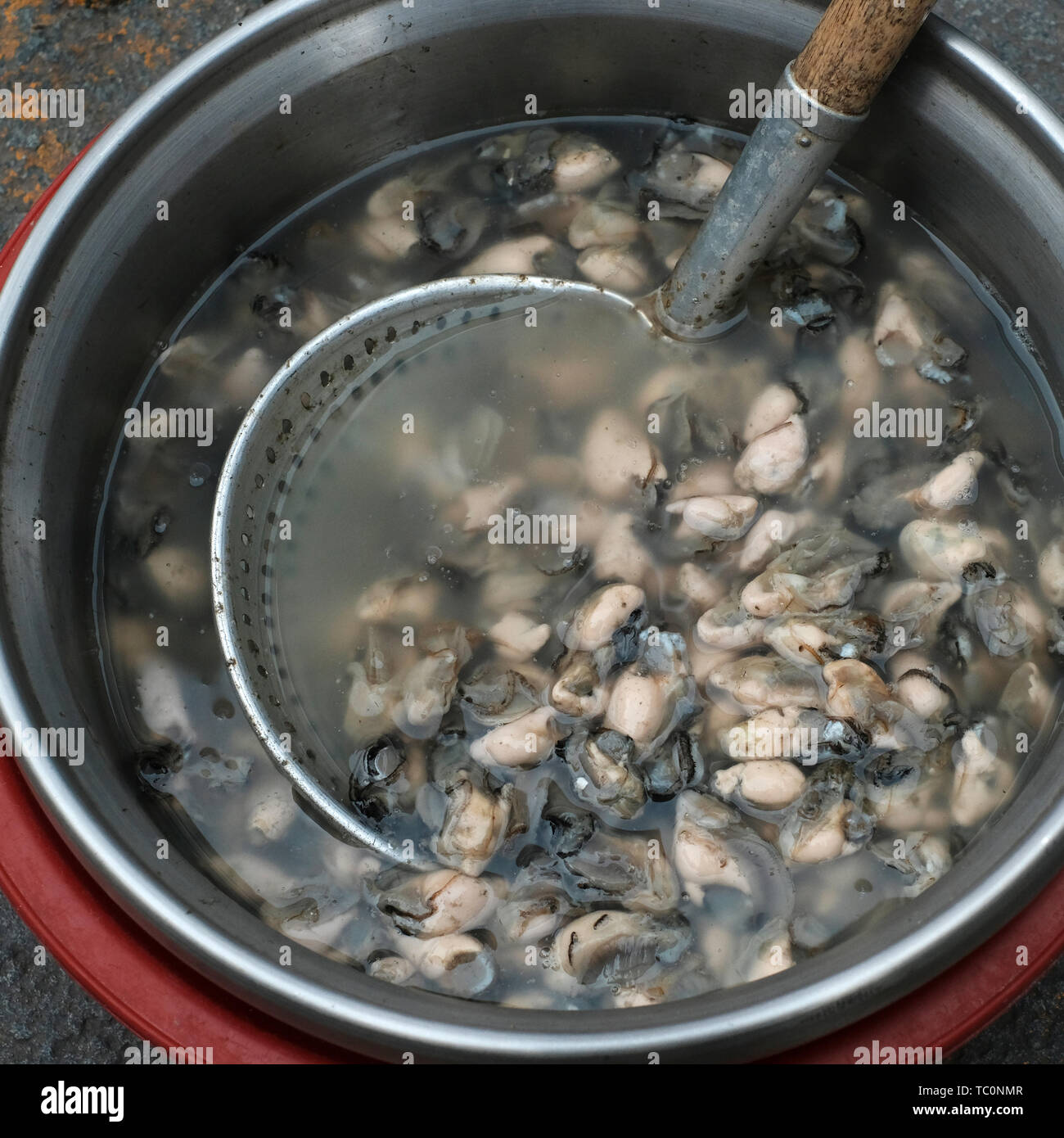 Rock Oysters for sale in the market in Kinmen island Taiwan Stock Photo ...