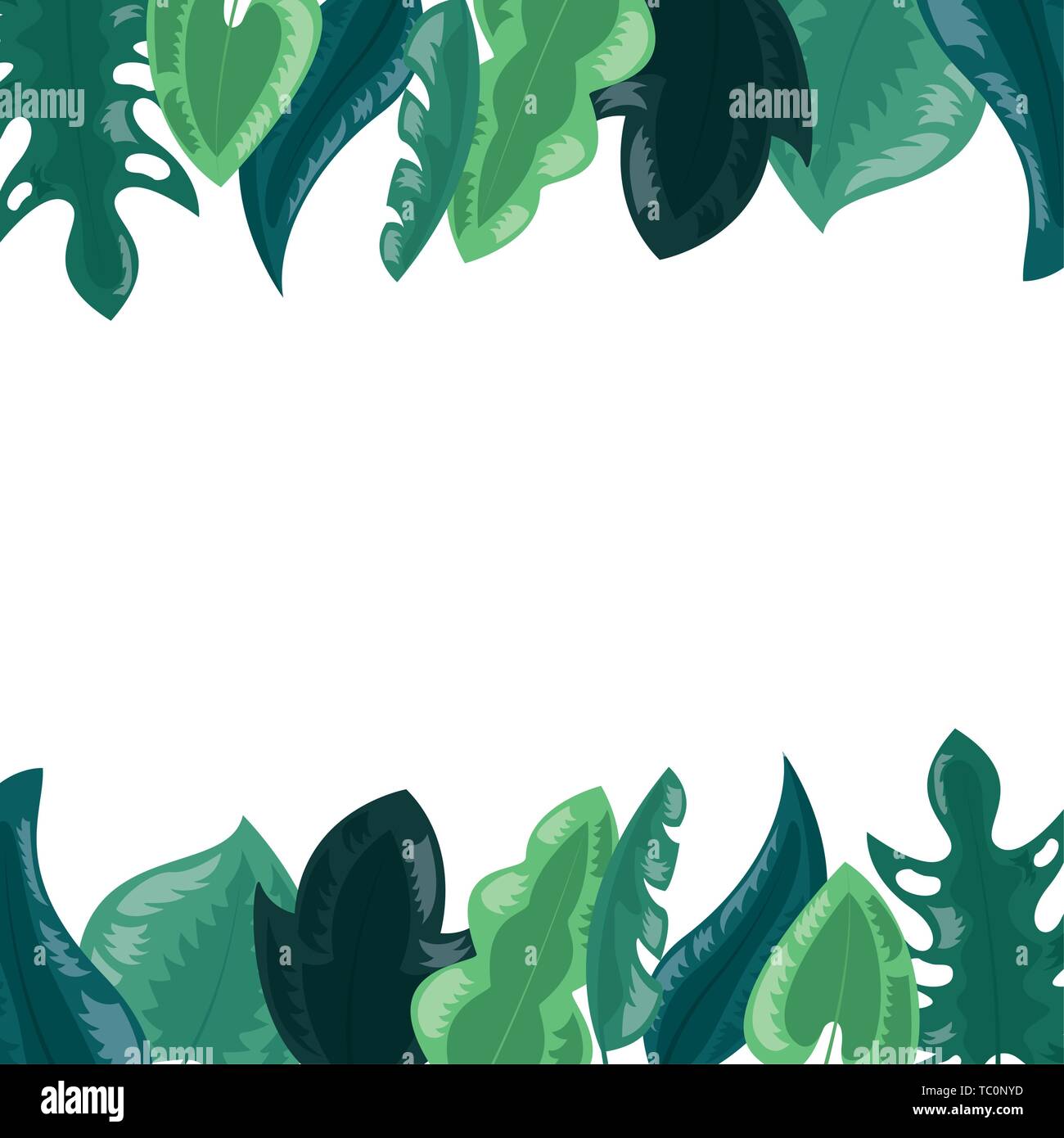 foliage nature border leaves white background Stock Vector Image & Art ...