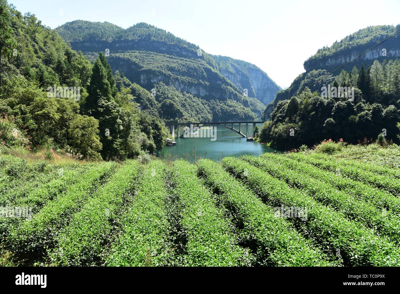 River bridge landscape Stock Photo - Alamy