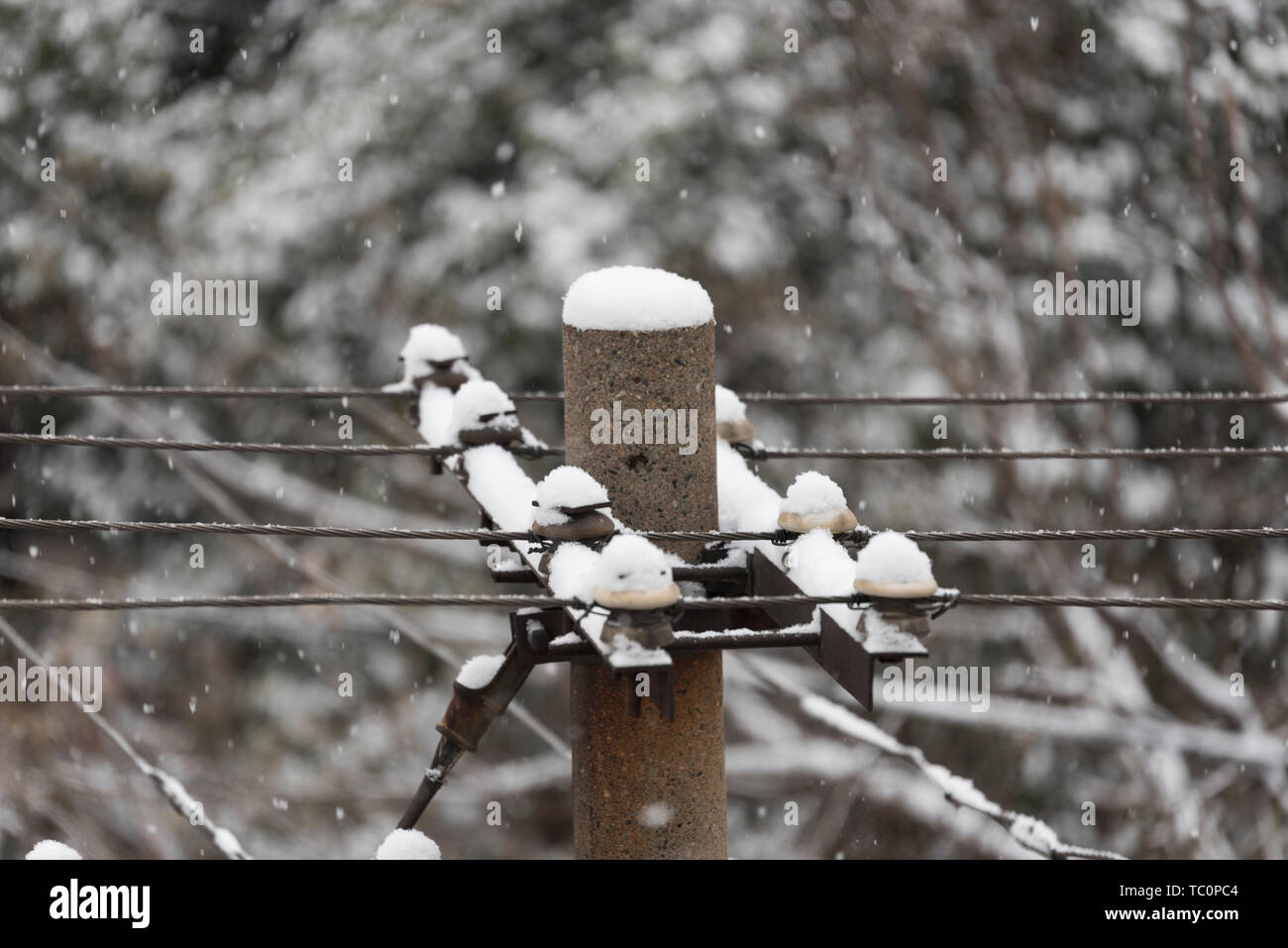 Roadside view after snow Stock Photo - Alamy