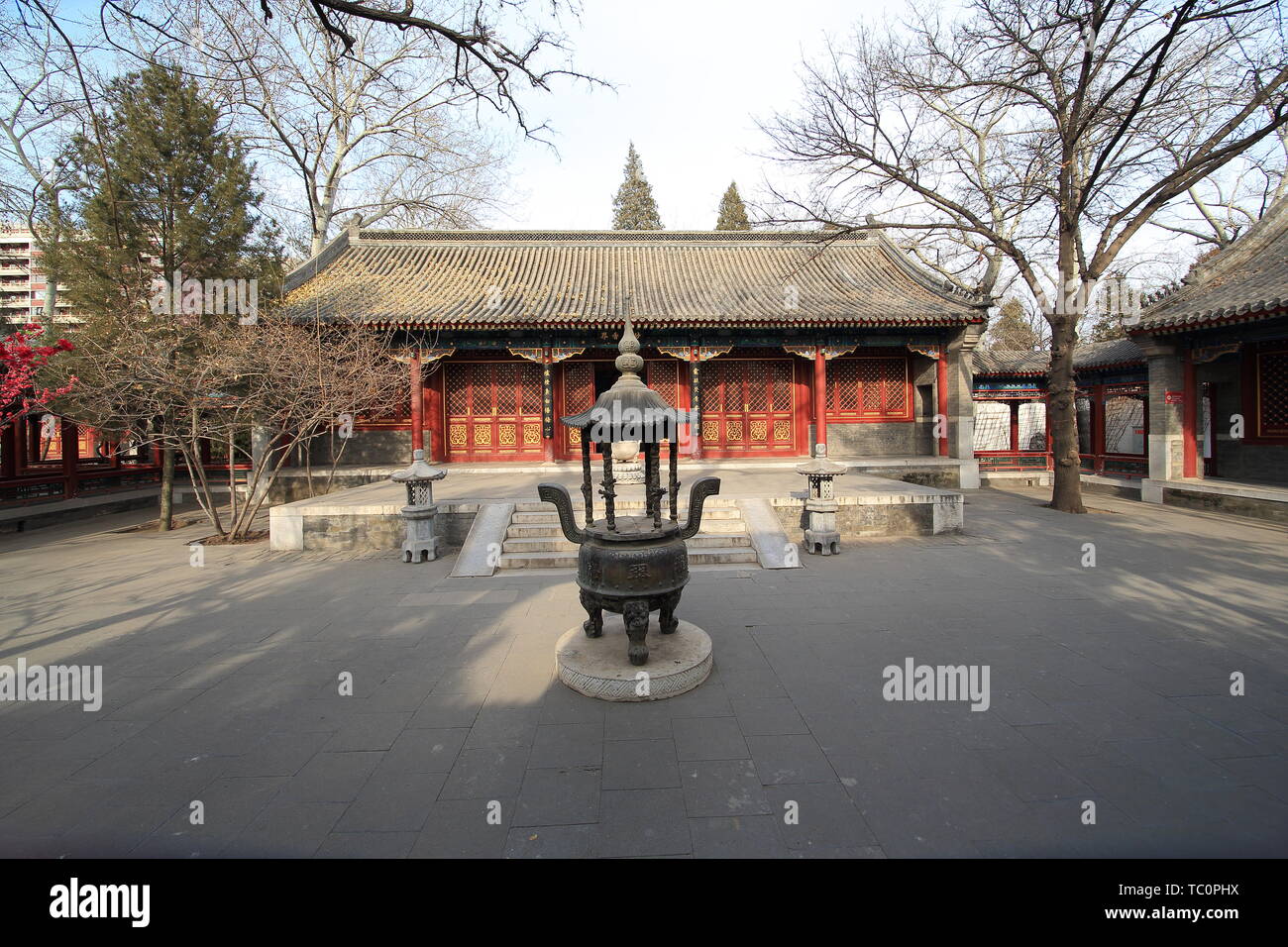 Nine of the Great View Garden of A Dream of Red Mansions: [Xiao Cui'an ...