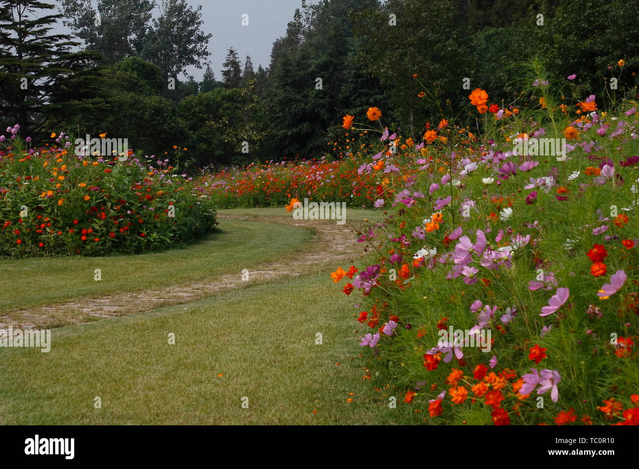 Shanghai Binjiang Forest Park Scenery Stock Photo - Alamy