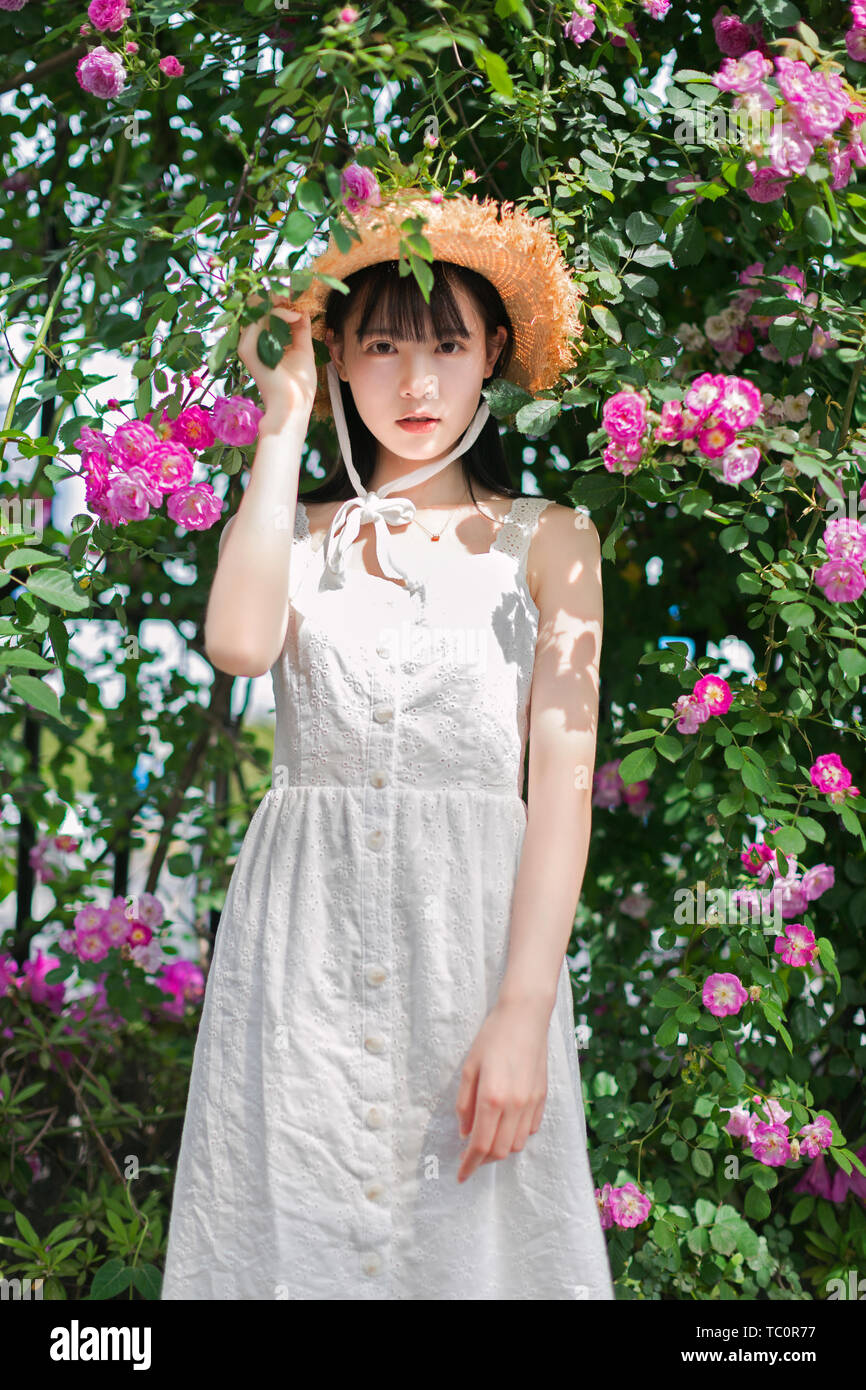 The rose figures Stock Photo - Alamy