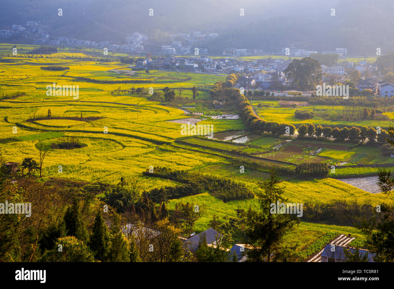 Spring color of Wanfeng forest in Xingyi, Guizhou Stock Photo - Alamy