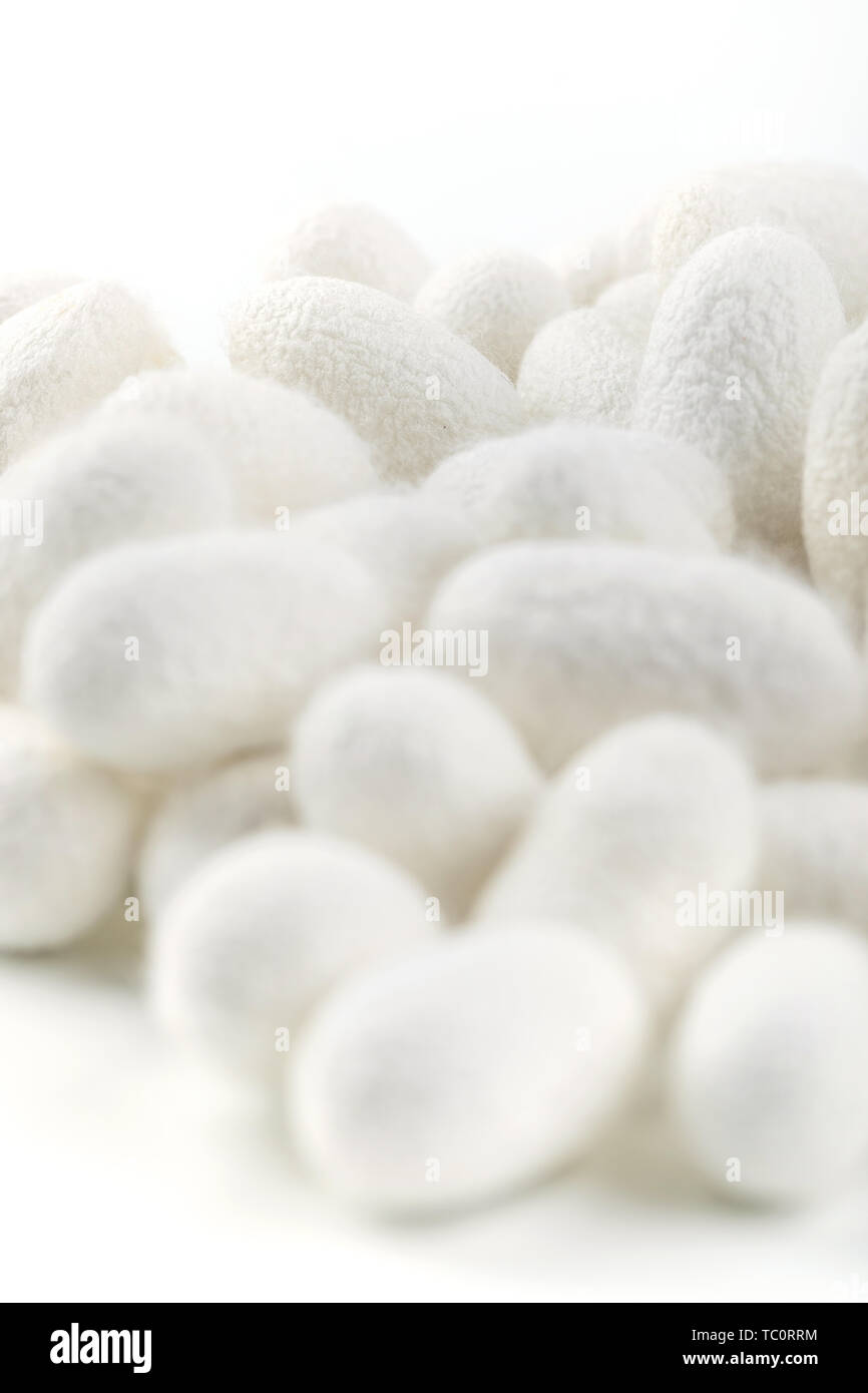 Smooth cocoon hi-res stock photography and images - Alamy