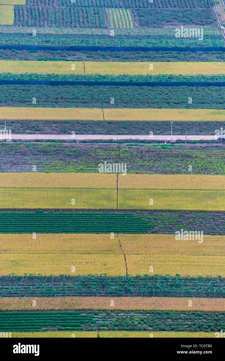 Intercropping hi-res stock photography and images - Alamy