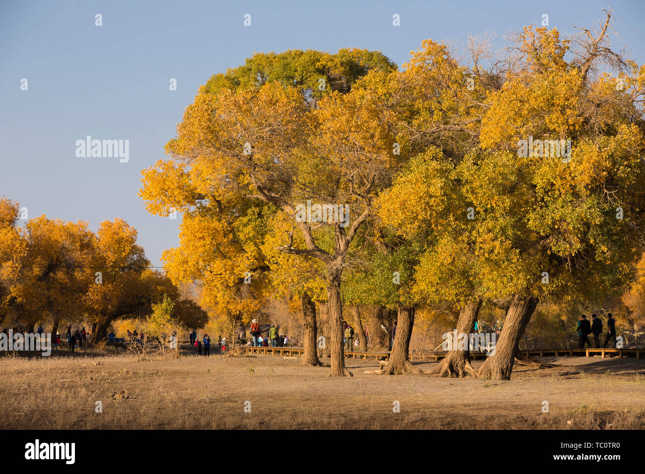 Hu yang and hu yang lin hi-res stock photography and images - Alamy