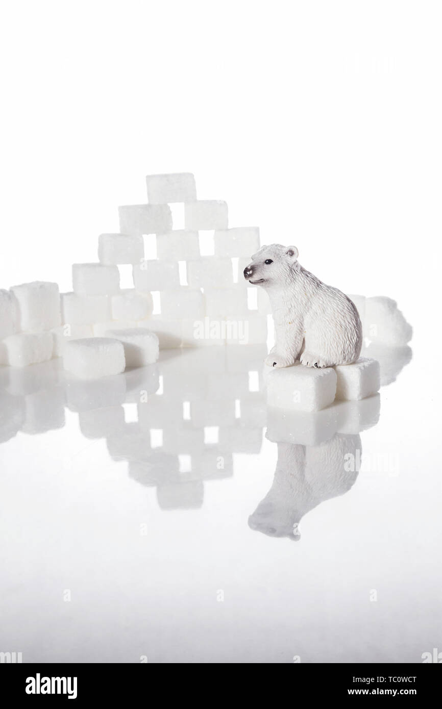 Creative shot of Sugar and Polar Bear Stock Photo - Alamy