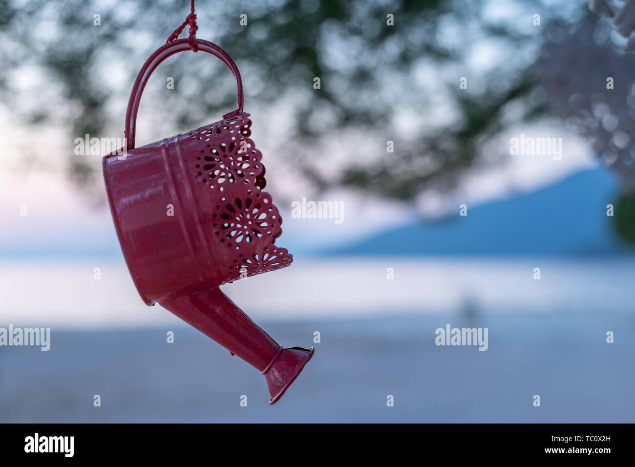 Hanging watering hi-res stock photography and images - Alamy